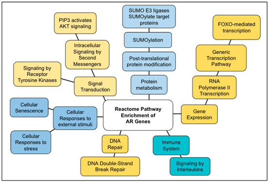 Genetic Networks of Alzheimer’s Disease, Aging, and Longevity in Humans