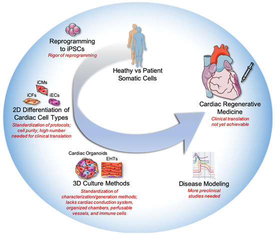 Advances in 3D Organoid Models for Stem Cell-Based Cardiac Regeneration