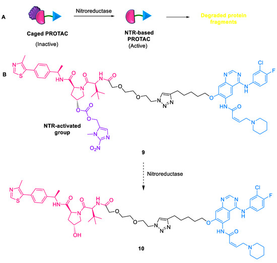 Emerging Strategies in Proteolysis-Targeting Chimeras (PROTACs ...