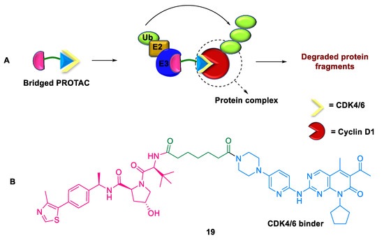 Emerging Strategies in Proteolysis-Targeting Chimeras (PROTACs ...