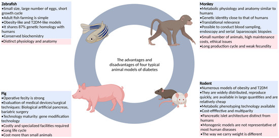 Research Progress on the Construction and Application of a Diabetic ...