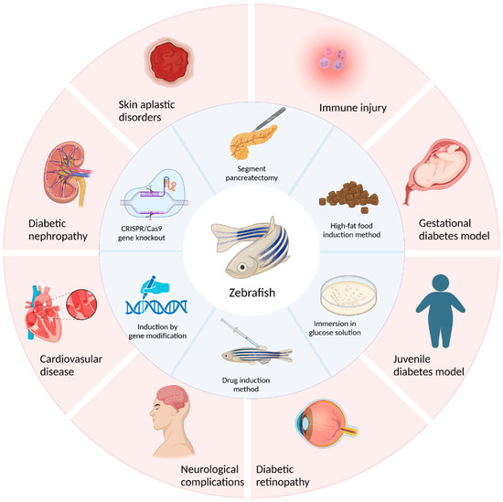 Research Progress on the Construction and Application of a Diabetic ...