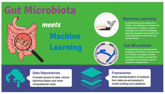 Gut Microbes Meet Machine Learning: The Next Step towards Advancing Our Understanding of the Gut ...