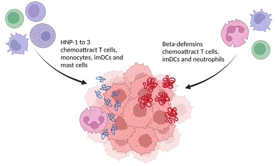 Role of Defensins in Tumor Biology