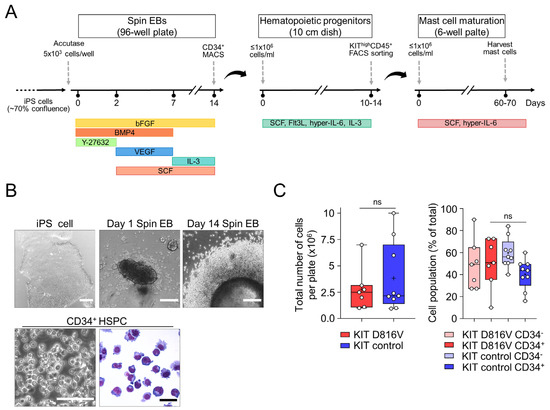 KIT D816V Mast Cells Derived from Induced Pluripotent Stem Cells Recapitulate Systemic ...