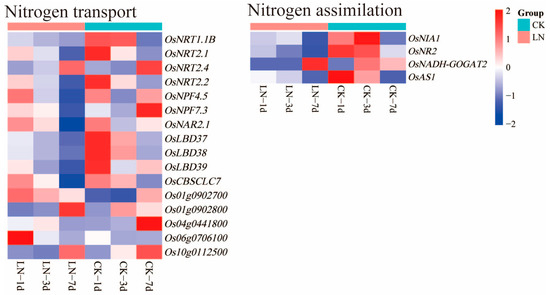 Transcriptome and Co-Expression Network Analysis Reveals the Molecular ...