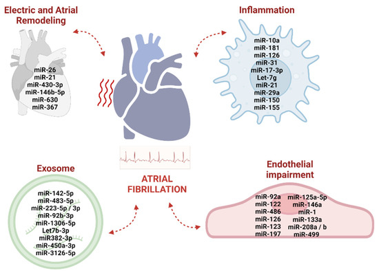 microRNAs as Biomarkers of Endothelial Dysfunction and Therapeutic Target in the Pathogenesis of ...