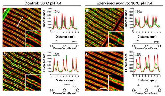 Searching for Mechanisms Underlying the Assembly of Calcium Entry Units: The Role of Temperature ...