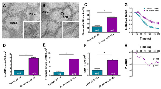 Searching for Mechanisms Underlying the Assembly of Calcium Entry Units: The Role of Temperature ...