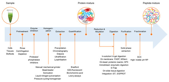 Bottom-Up Proteomics: Advancements in Sample Preparation