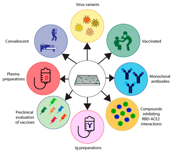 Importance, Applications and Features of Assays Measuring SARS-CoV-2 ...