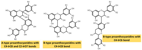 Proanthocyanidins: Impact on Gut Microbiota and Intestinal Action ...