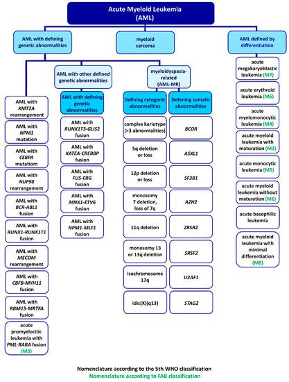 Choosing the Right Cell Line for Acute Myeloid Leukemia (AML) Research