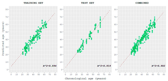 Forensic Age Estimation through a DNA Methylation-Based Age Prediction ...