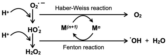 Biological Consequences of Vanadium Effects on Formation of Reactive ...