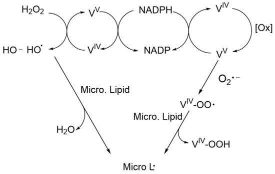 Biological Consequences of Vanadium Effects on Formation of Reactive ...