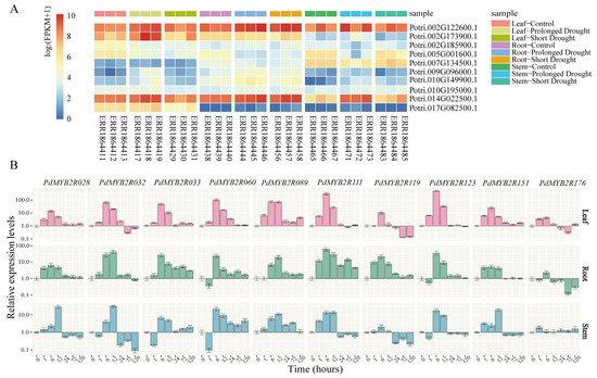 IJMS | Free Full-Text | Comprehensive Genome-Wide Analyses of Poplar ...