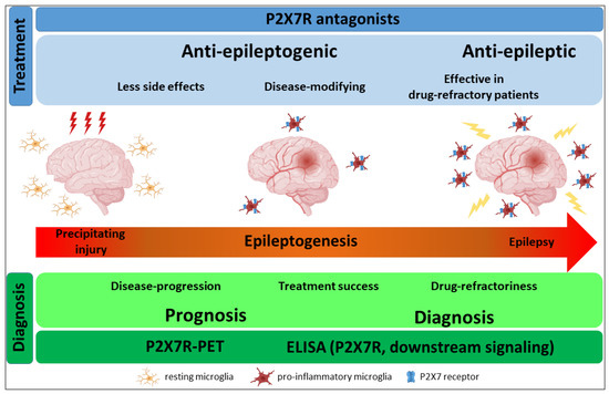 The P2X7 Receptor as a Mechanistic Biomarker for Epilepsy