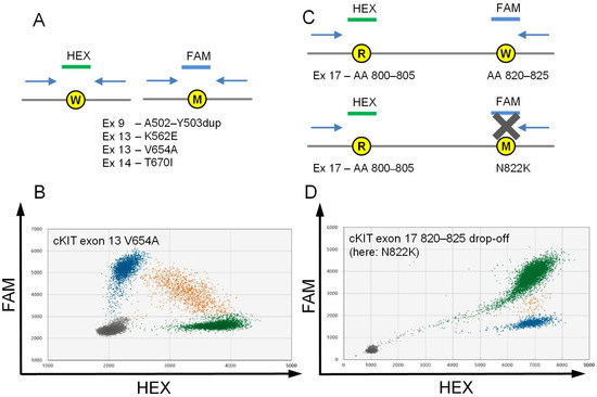 Development of Highly Sensitive Digital Droplet PCR for Detection of ...