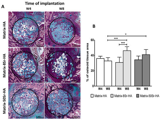 Bone Regeneration in Small and Large Segmental Bone Defect Models after ...