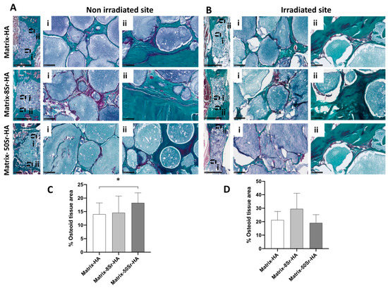 Bone Regeneration in Small and Large Segmental Bone Defect Models after ...