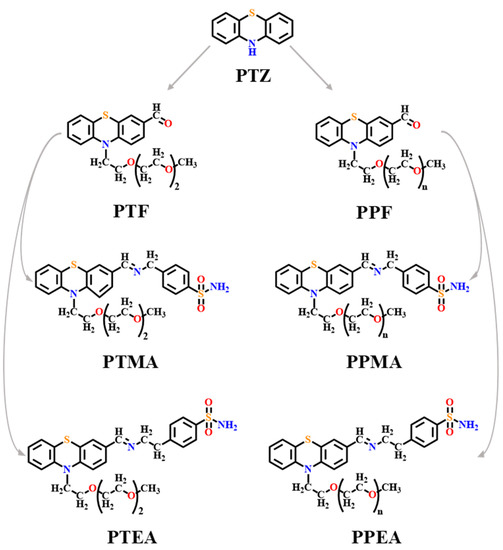 Antitumor Activity of PEGylated and TEGylated Phenothiazine Derivatives ...