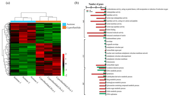 Transcriptomic Analysis Reveals the Detoxification Mechanism of Chilo ...