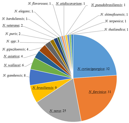 Rapid, Easy, and Reliable Identification of Nocardia sp. by MALDI-TOF ...
