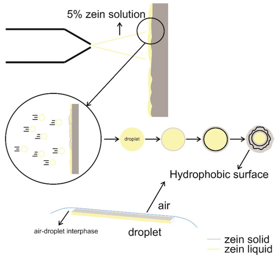 Sustainable Secondary-Raw Materials, Natural Substances and Eco ...