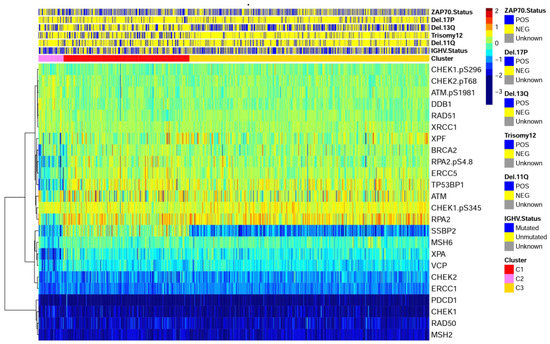 Prognostication of DNA Damage Response Protein Expression Patterns in ...