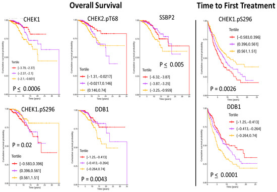 Prognostication of DNA Damage Response Protein Expression Patterns in ...