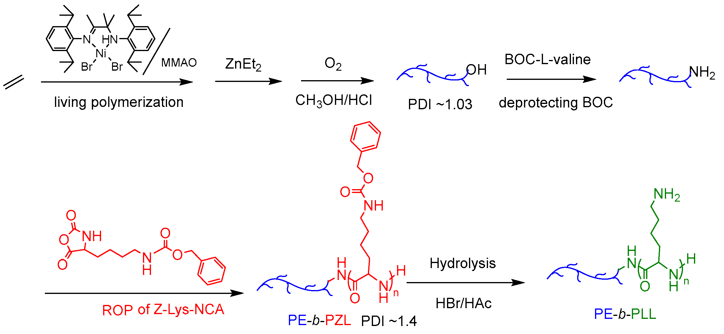 Amphiphilic Polyethylene-b-poly(L-lysine) Block Copolymer: Synthesis ...