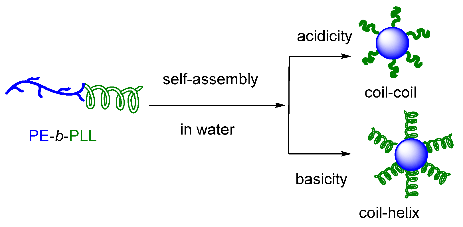 Amphiphilic Polyethylene-b-poly(L-lysine) Block Copolymer: Synthesis ...