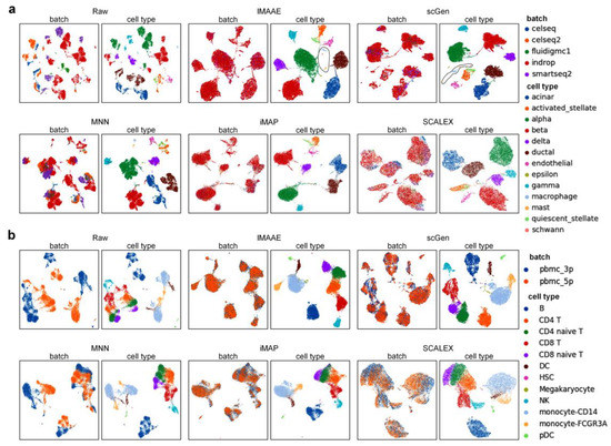 Integrating Multiple Single-Cell RNA Sequencing Datasets Using Adversarial Autoencoders