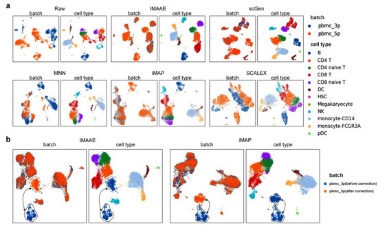 Integrating Multiple Single Cell Rna Sequencing Datasets Using Adversarial Autoencoders