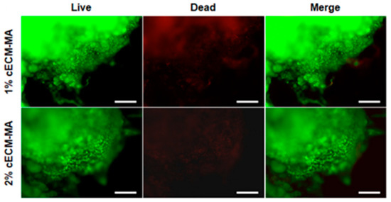 Advances in Cartilage Tissue Engineering Using Bioinks with ...