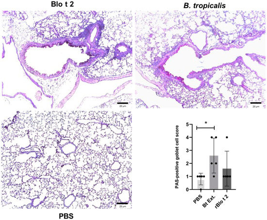 The Allergenic Activity of Blo t 2, a Blomia tropicalis IgE-Binding ...