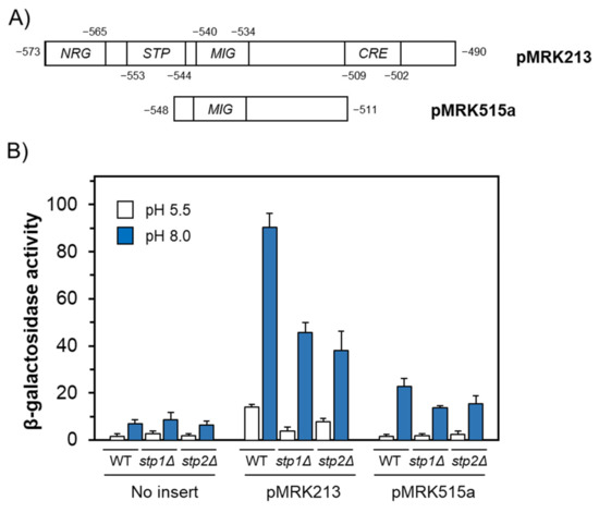 The ENA1 Na+-ATPase Gene Is Regulated by the SPS Sensing Pathway and ...