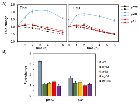 The ENA1 Na+-ATPase Gene Is Regulated by the SPS Sensing Pathway and ...