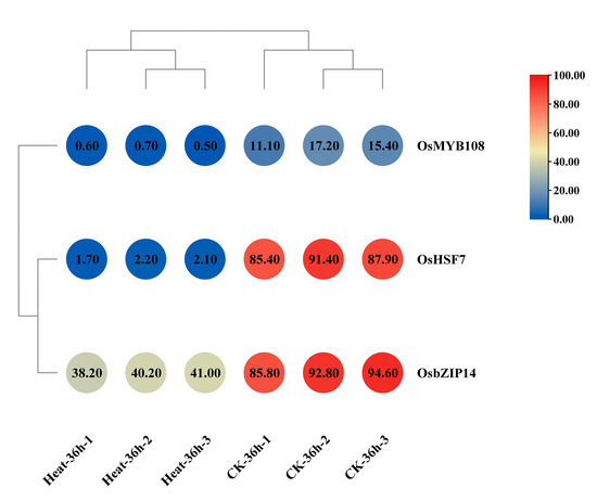 Integrated ATAC-Seq and RNA-Seq Data Analysis to Reveal OsbZIP14 ...