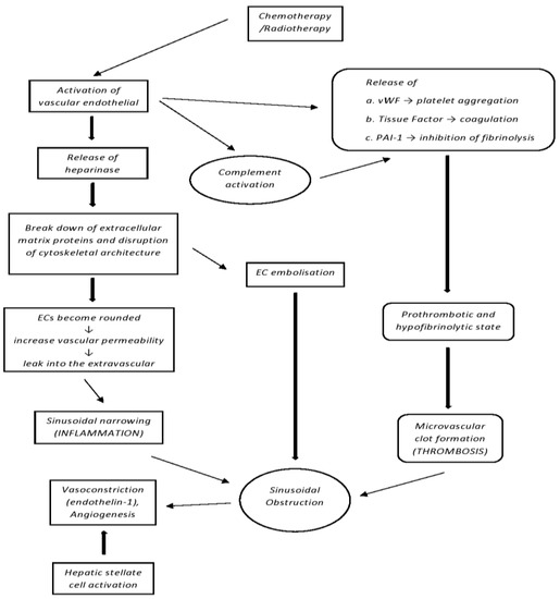 Molecular Advances in Sinusoidal Obstruction Syndrome/Veno-Occlusive ...