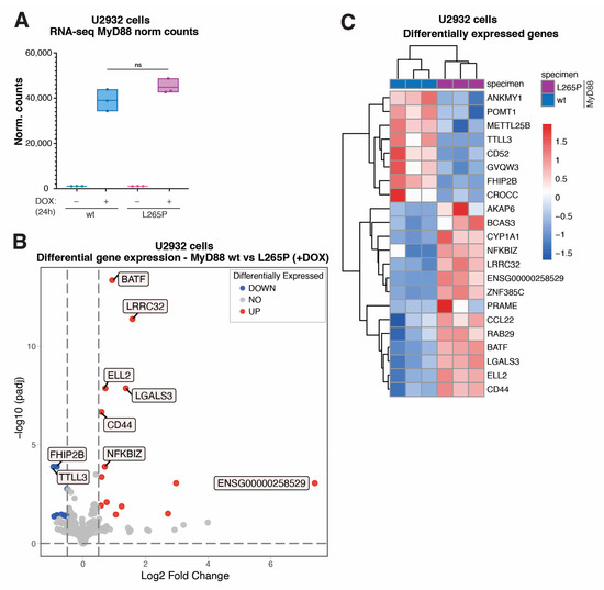 IJMS | Free Full-Text | Transcriptome Analysis of Diffuse Large B-Cell Lymphoma Cells Inducibly ...
