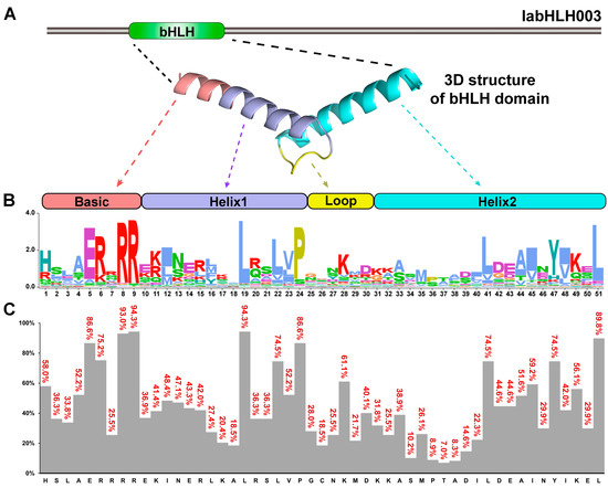 Comprehensive Analysis of bHLH Transcription Factors in Ipomoea ...