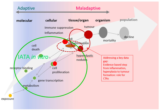 The Cell Transformation Assay: A Historical Assessment of Current ...