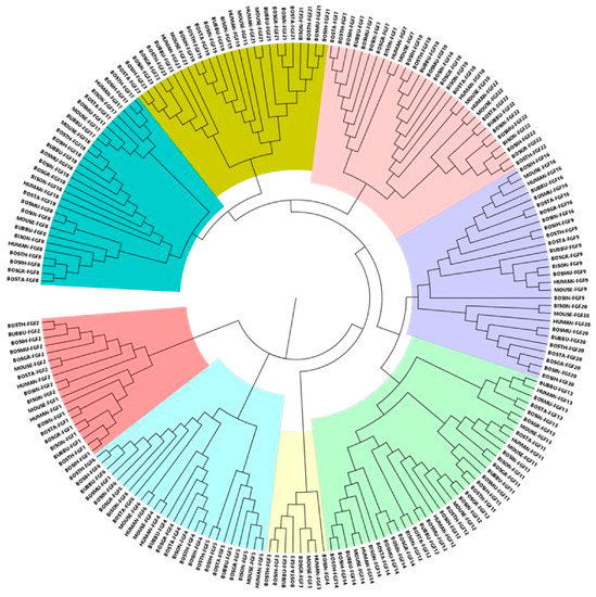 Genome-Wide Identification and Characterization of Bovine Fibroblast ...