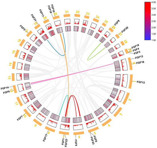 Genome-Wide Identification and Characterization of Bovine Fibroblast ...