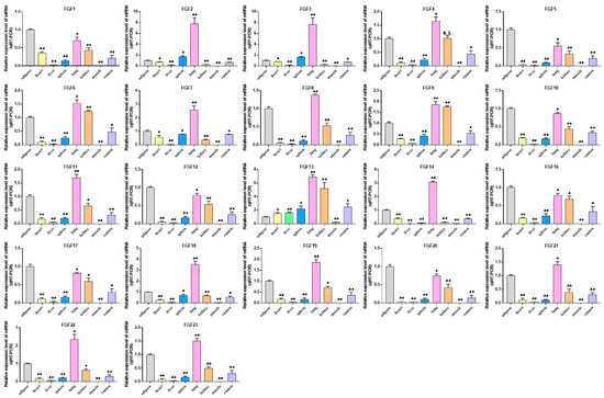 Genome-Wide Identification and Characterization of Bovine Fibroblast ...