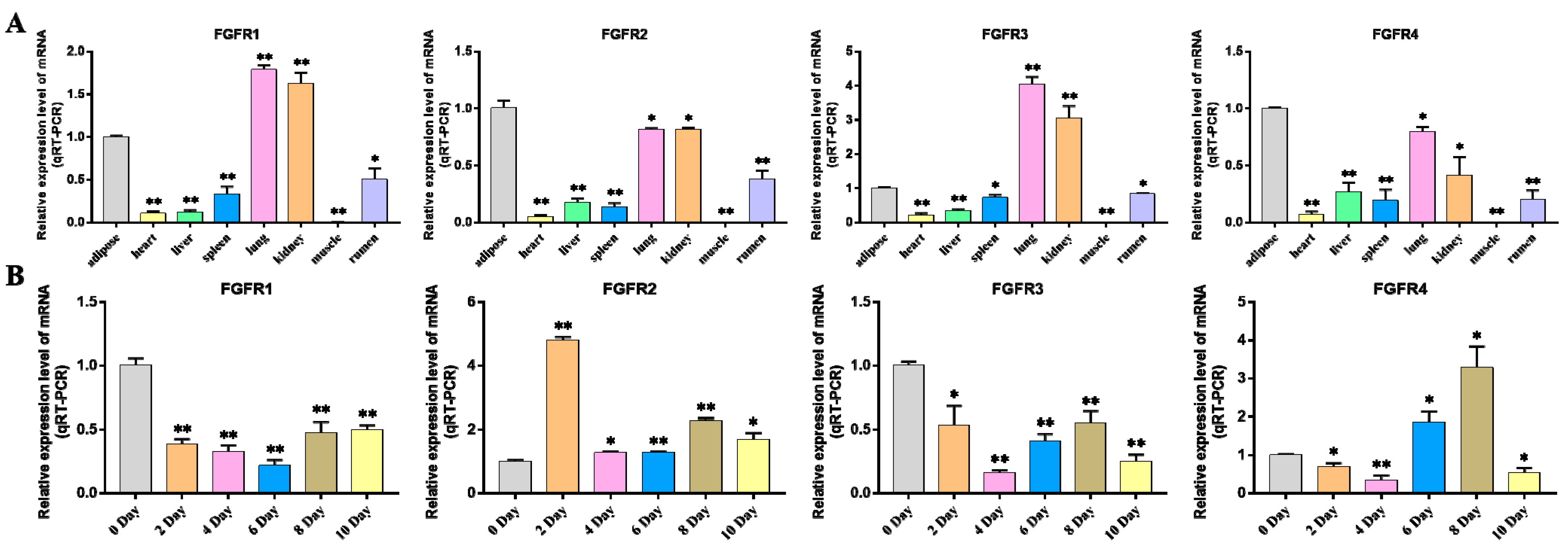 Genome-Wide Identification and Characterization of Bovine Fibroblast ...