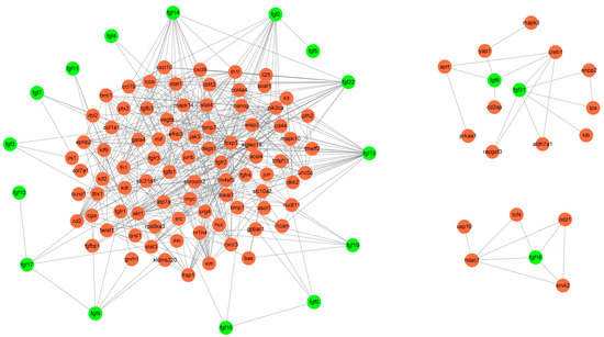 Genome-Wide Identification and Characterization of Bovine Fibroblast ...