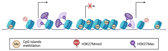 Regulation of Cell Plasticity by Bromodomain and Extraterminal Domain ...